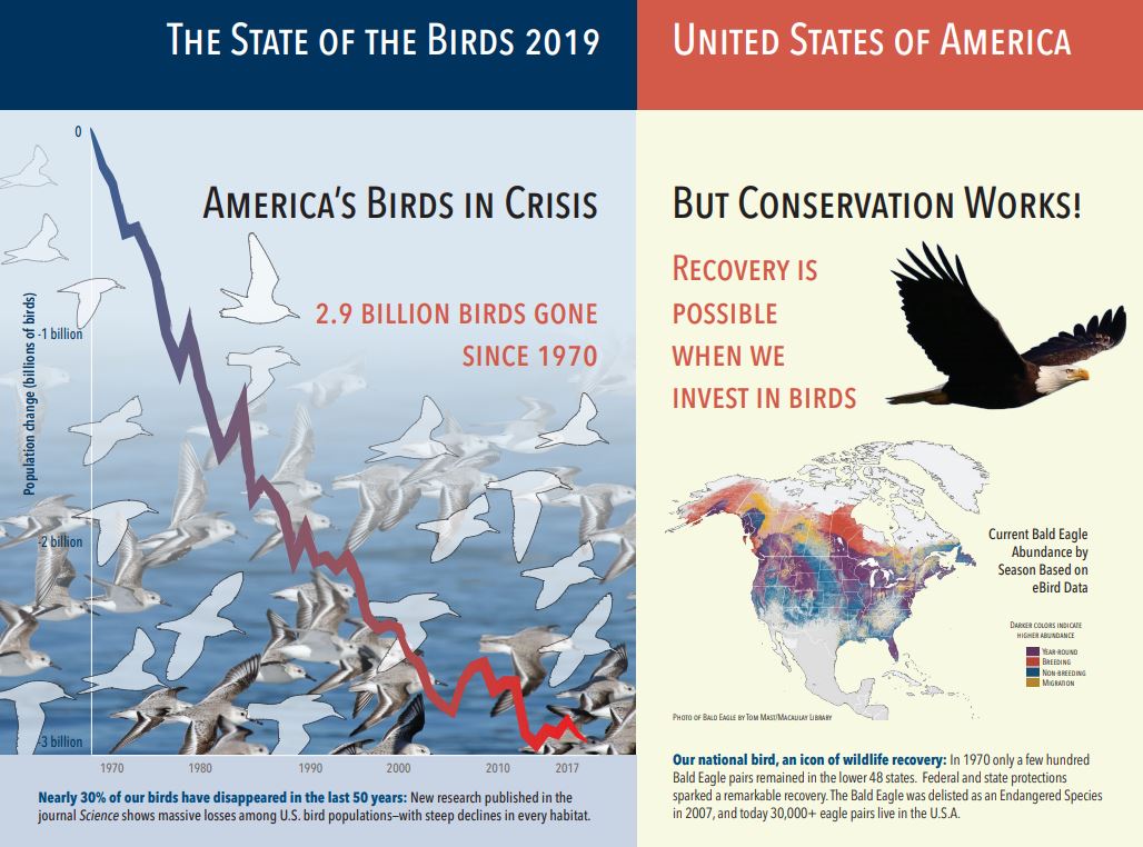 2019 State of the Birds Report – Wisconsin Bird Conservation Partnership
